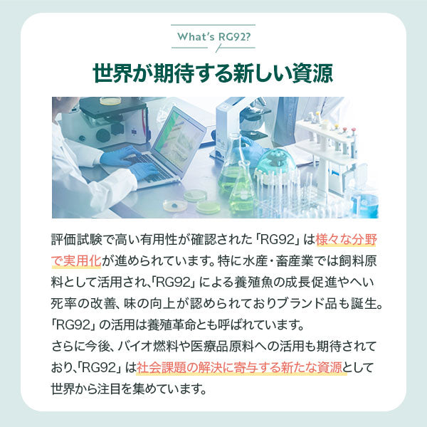 RG92 ドリンクシリーズ 1箱 (10本入り) – GMAKe ONLINE STORE（GMAKeオンラインストア）
